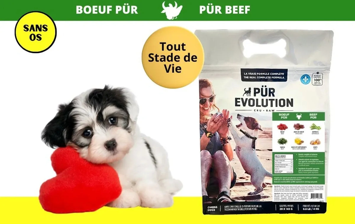 Boeuf Pur sans os - tout stade de vie – Le Chien Malin